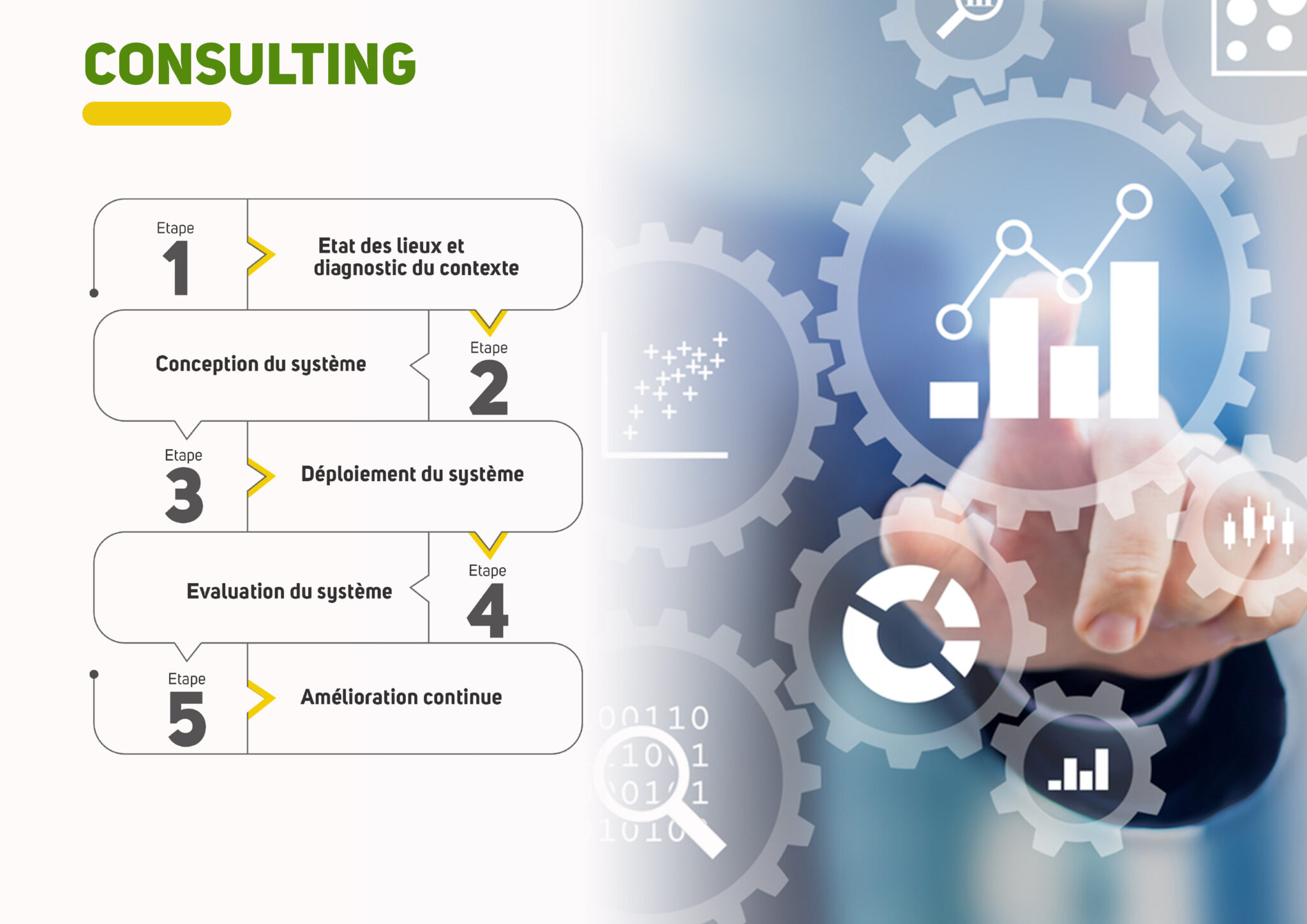 CONSULTING - IMAGE GROUPE, Ingénierie des Management et Gestion